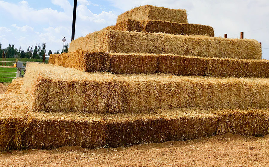 Archer's Fall Festival – Archer's Fall Festival